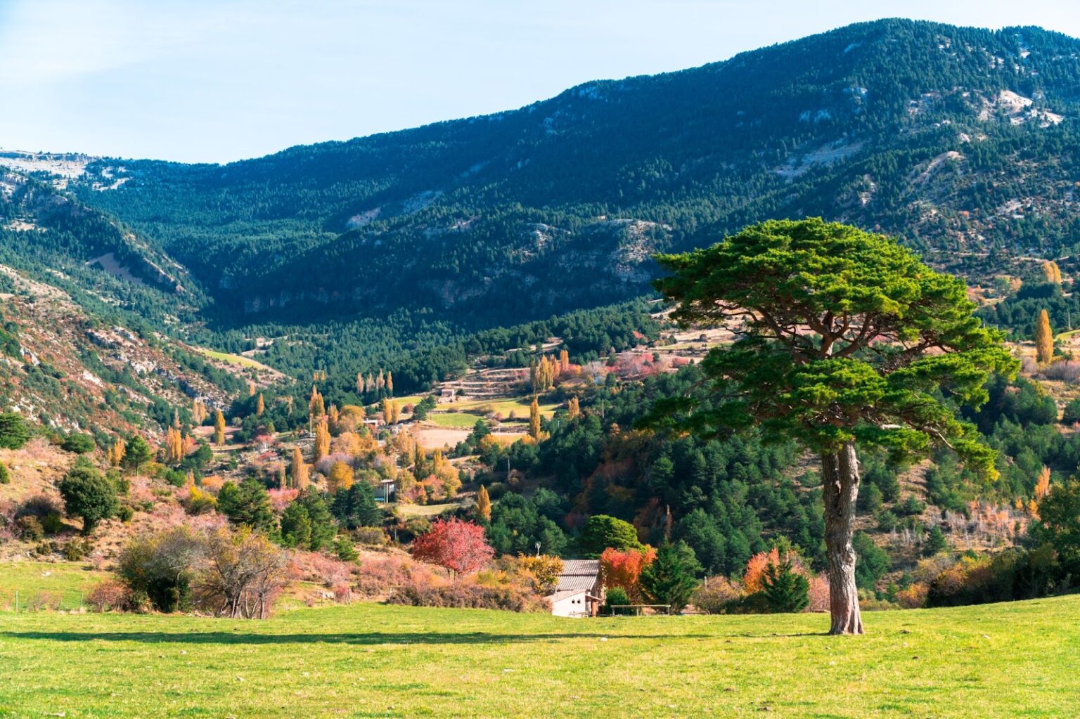 Escapada de tardor al Solsonès amb estada a l’Hotel Japonès Puigpinós ...